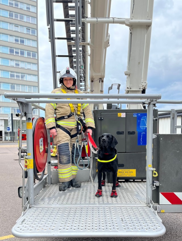 Fire Service pays tribute to Fire Dog Reqs - Fire Magazine