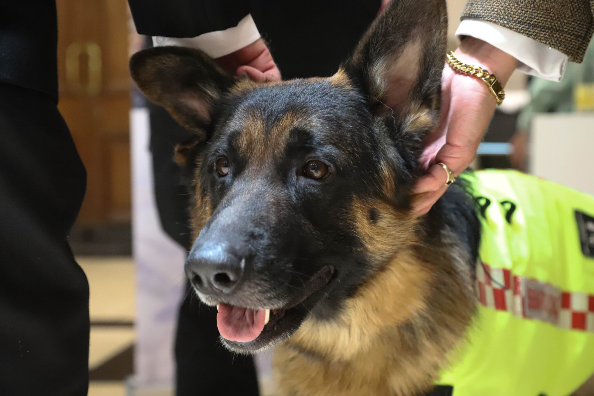 Global Search and Rescue Excellence Awards - Fire Magazine