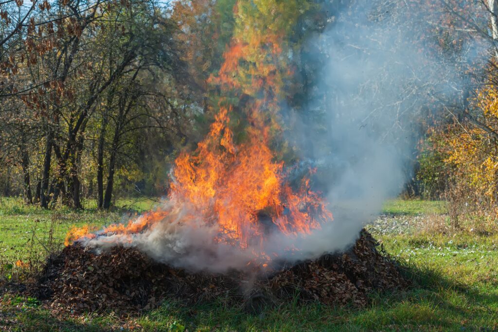 Say no to garden bonfires this summer: fire safety warning for ...