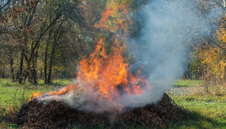 Say no to garden bonfires this summer: fire safety warning for ...